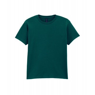 GI5000, Heavy Cotton Adult T-shirt (Fan Marine Green) Gildan